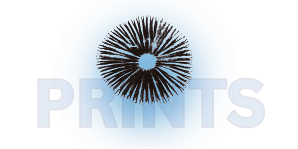 Mushroom Spore Prints | Shop Magic Mushroom Prints